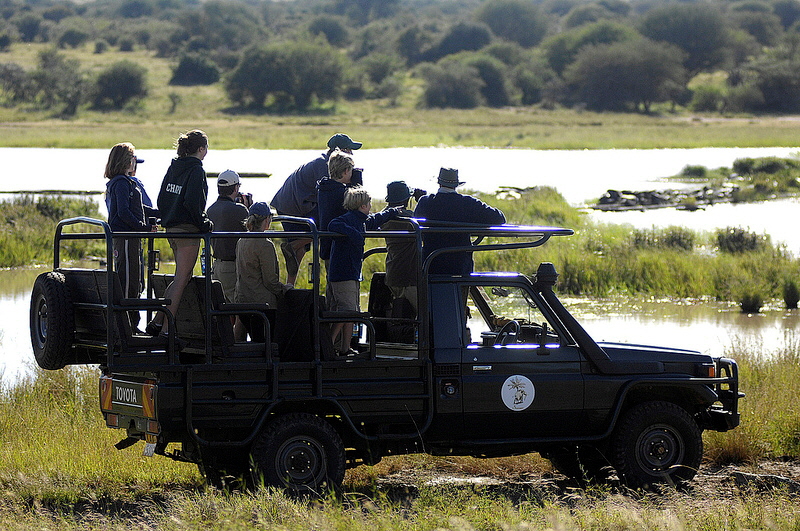 Sosian-Ranch | Reitsafari | Afrikanische Wildhunde